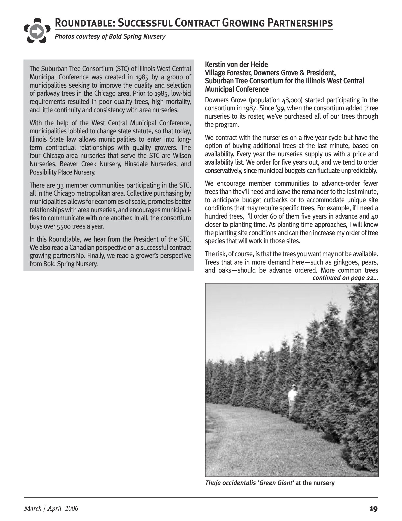 Insights and Solutions for Urban Wood, Stormwater, and More