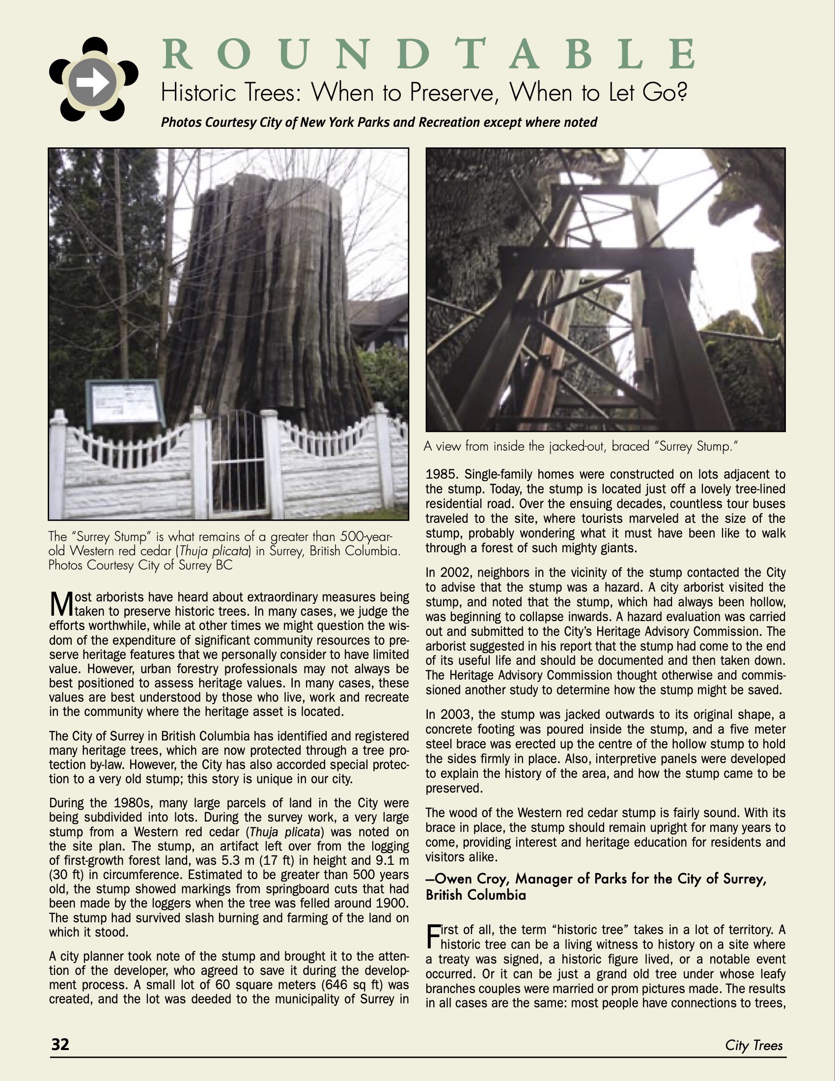 Insights and Solutions for Urban Wood, Stormwater, and More